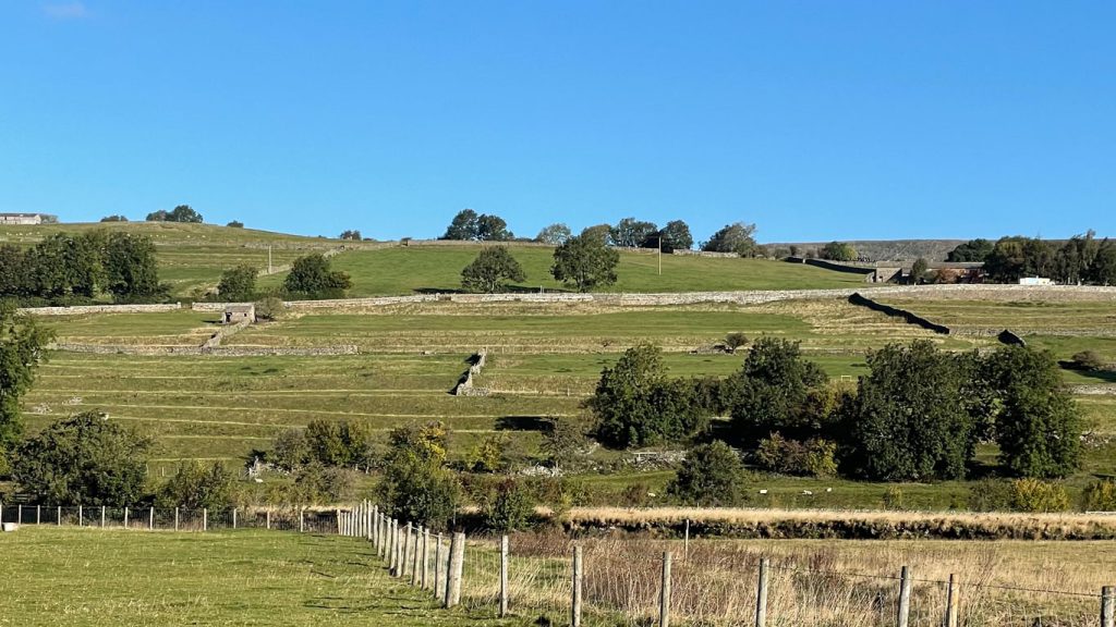 Discover Swale Trail: An Easy Adventure for All - StrandsView